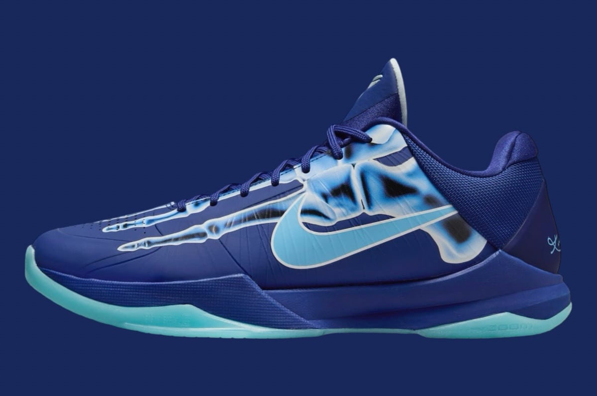 La Kobe 5 X-Ray débarque en France