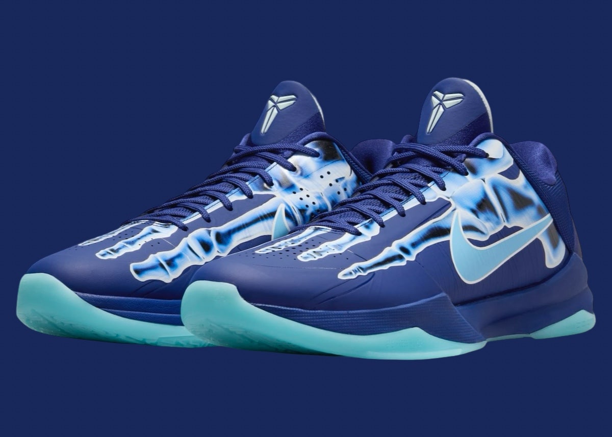 La Kobe 5 X-Ray débarque en France